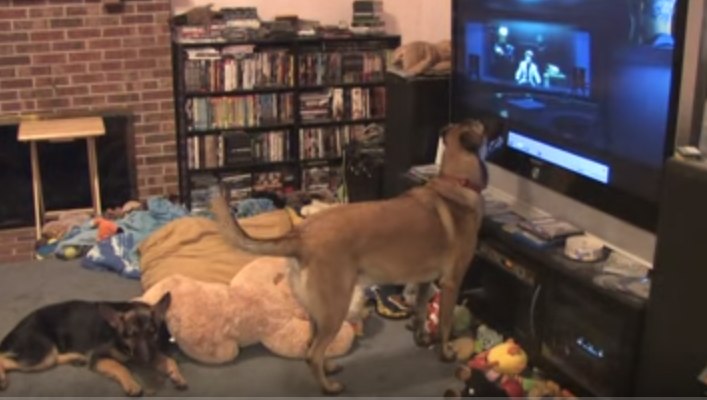 Let’s relate to Nature through the internet!! | Our relationship with ...